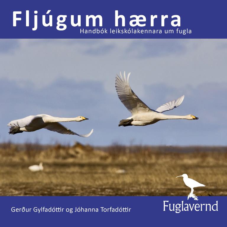 Kennsluefni um fugla - Fuglavernd.is