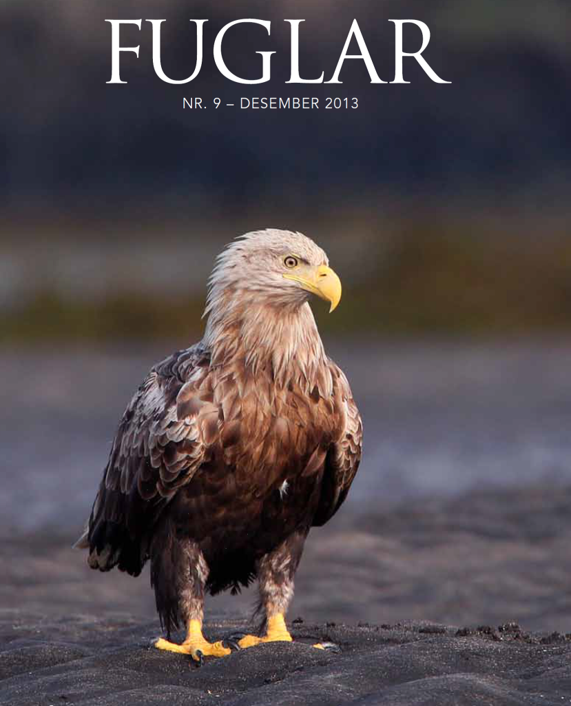 Fuglar tímarit nr. 9 - 2013 - 50 ára afmælisrit - Fuglavernd.is